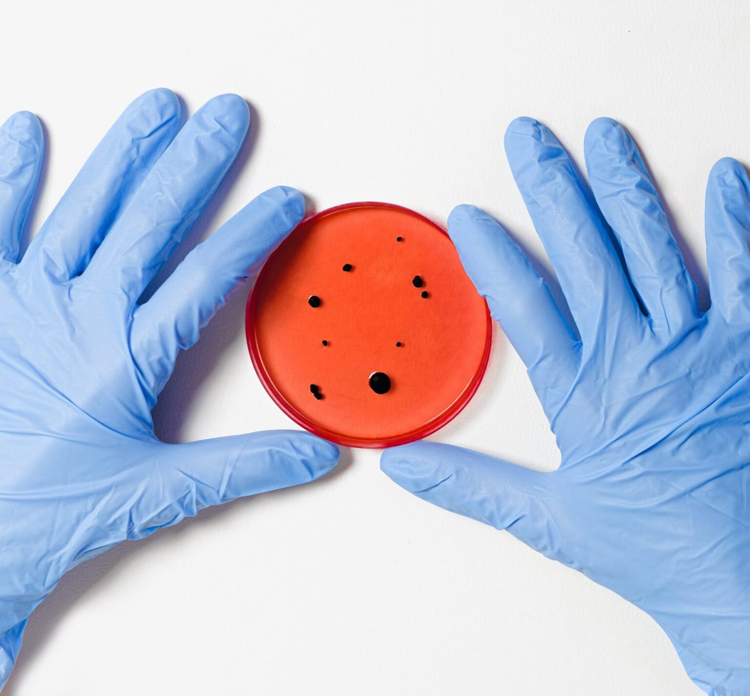 Clearing mucus using PEP (flutter) valves – Cystic Fibrosis ...